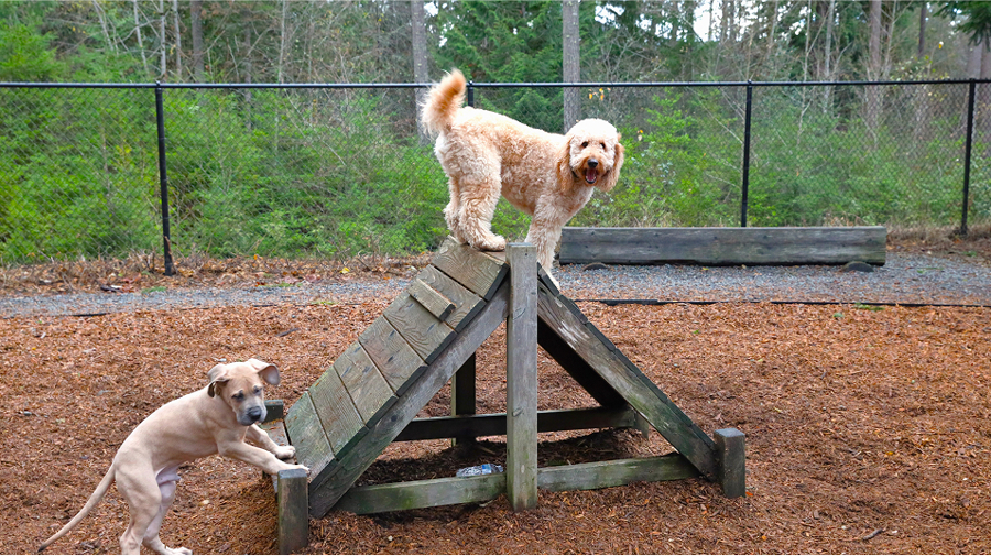 Tehaleh Glacier Pointe New Home Community - Bonney Lake - Seattle, WA ...