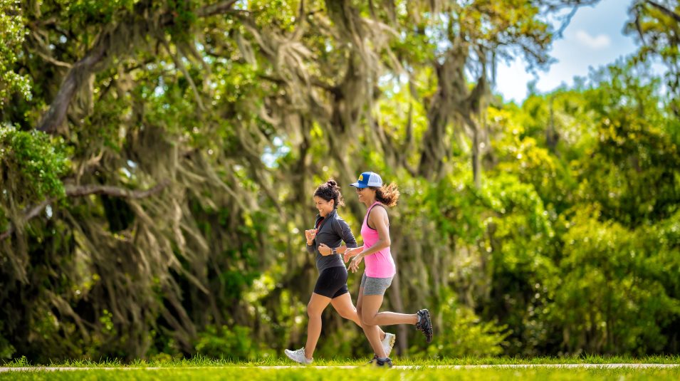 Seaire New Home Community - Parrish - Tampa / Manatee, FL | Lennar