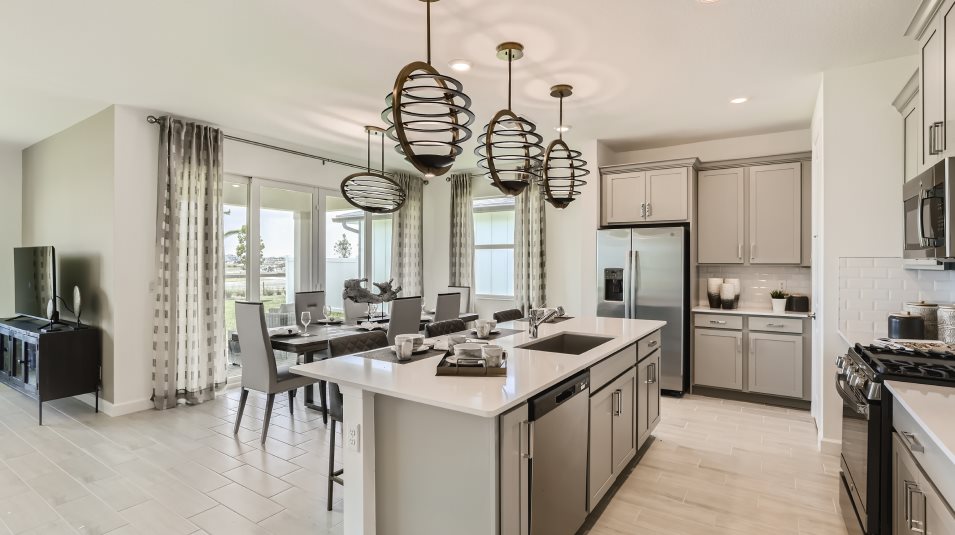 Move-in ready Tulip in The Arcadia Collection at Arden, $687,595 | Lennar