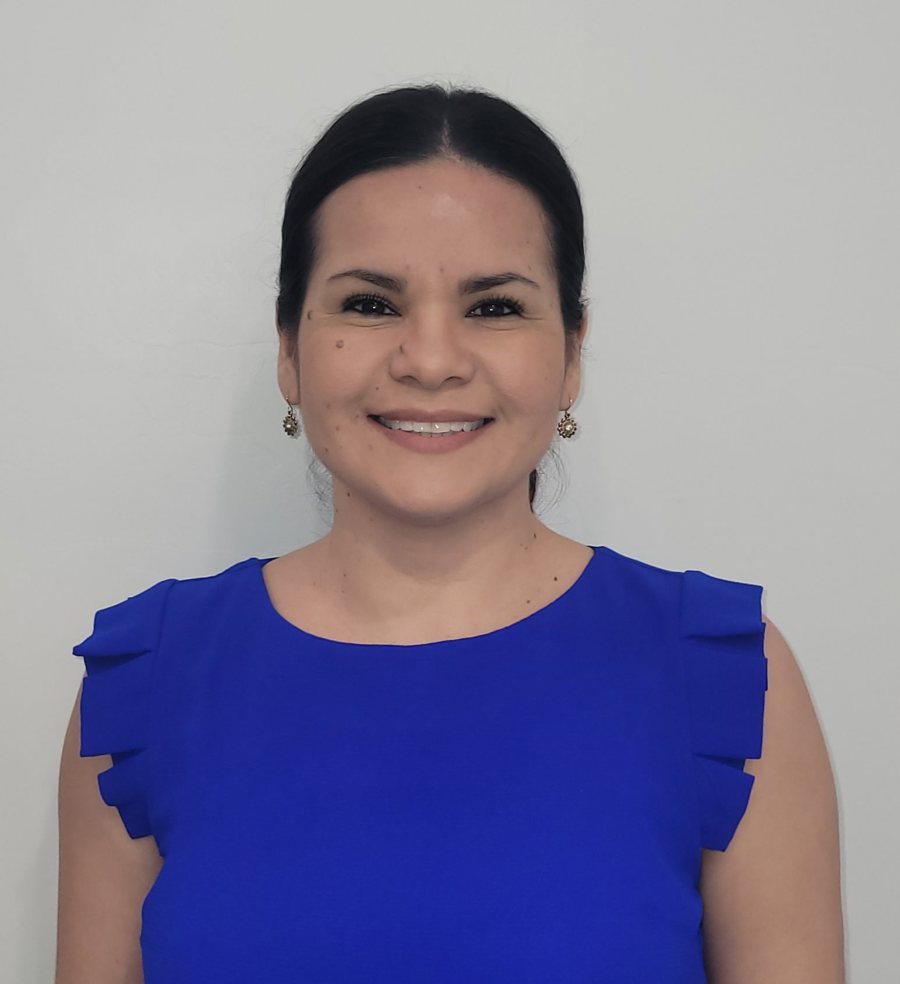 Newlin New Home Plan in Mountain View Dream at Mountain View at Rocking ...